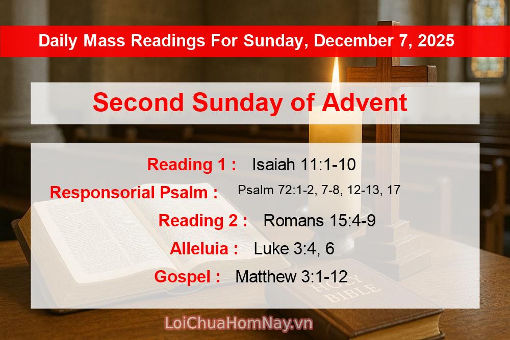 Daily Mass Readings For Sunday, December 7, 2025 (Readings, Gospel, and Reflection)