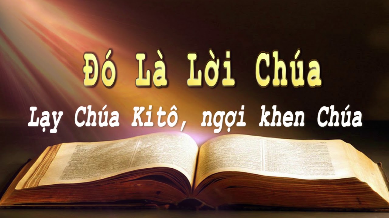 Lời Chúa Ngày 02/02/2026- Bài Đọc & Tin Mừng & Suy Niệm Lời Chúa